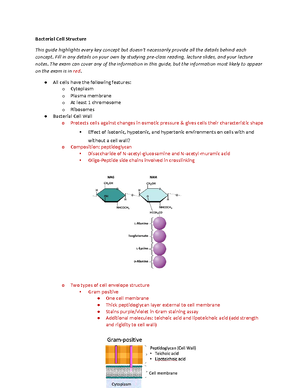 Study Guide: Metabolism and Gibbs Free Energy Concepts - Study Guide ...