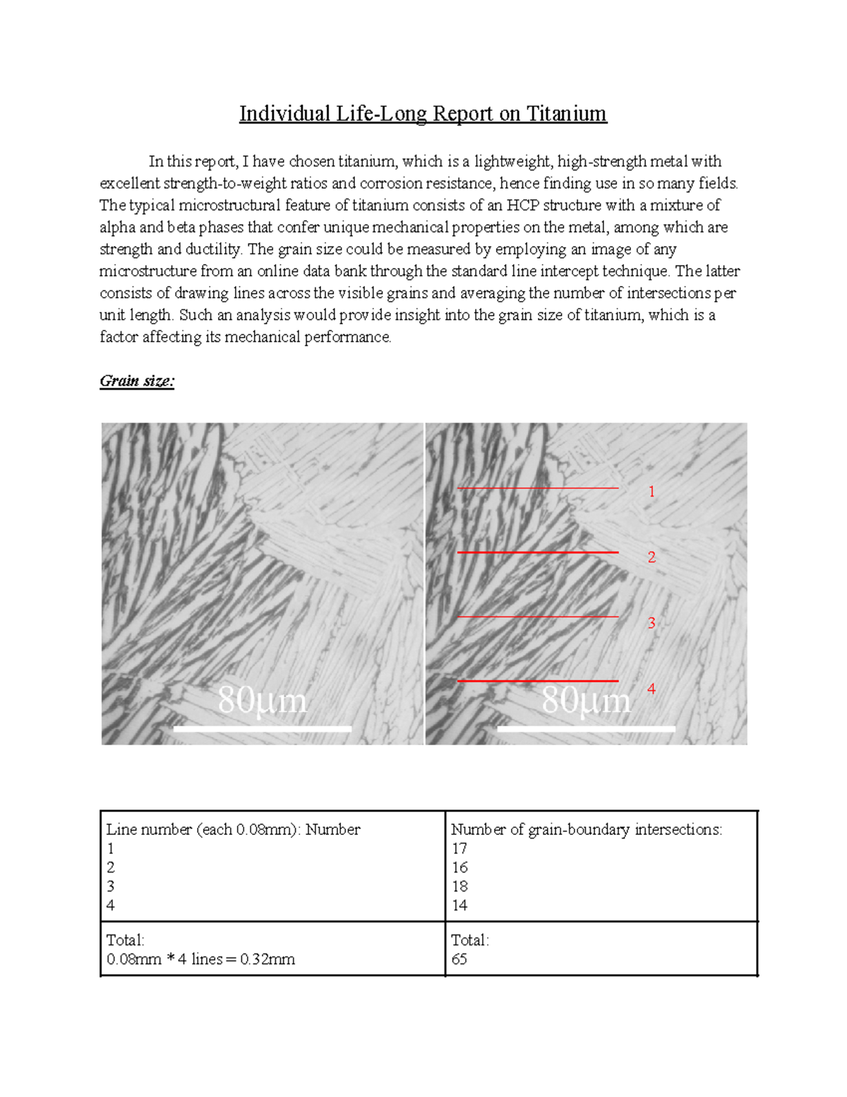 Individual Life-Long Report on Titanium Lab 4 - Individual Life-Long ...