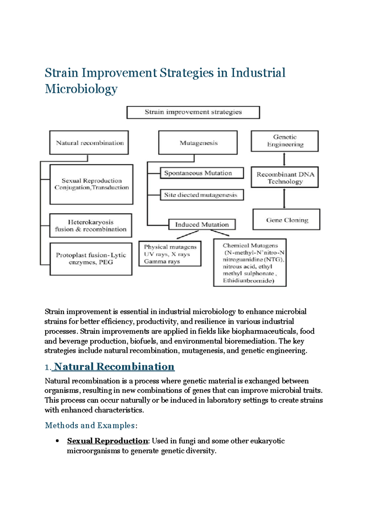 Microbiology 101: Strategies for Strain Improvement in Industry - Studocu