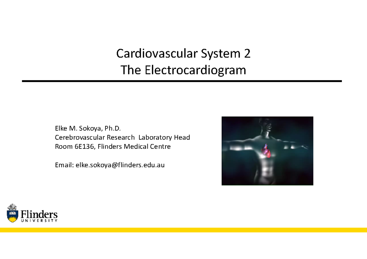 CVS2 Lecture: The Electrocardiogram Overview and Concepts - Studocu