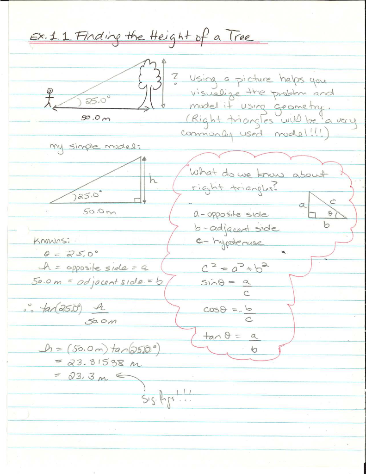 MATH 101: Finding the Height of a Tree Using Geometry - Studocu