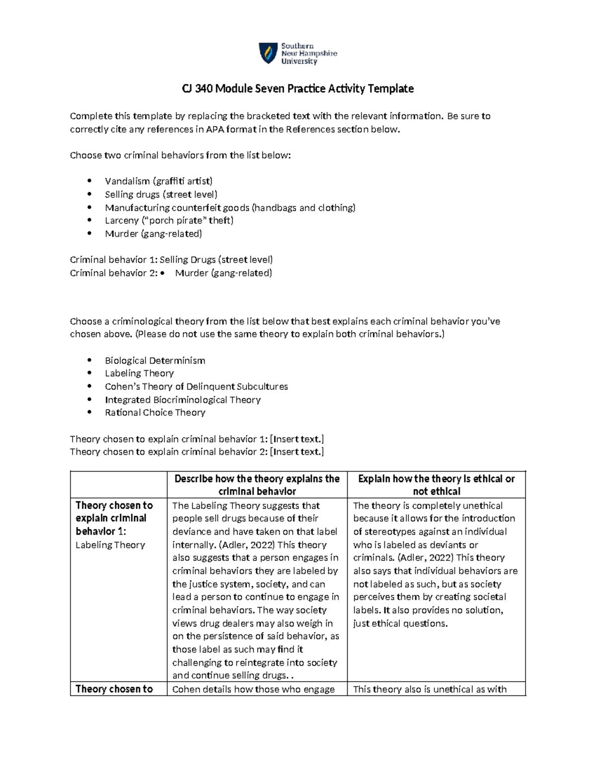 CJ 340 Module 7 Practice Activity: Criminological Theories Explained ...
