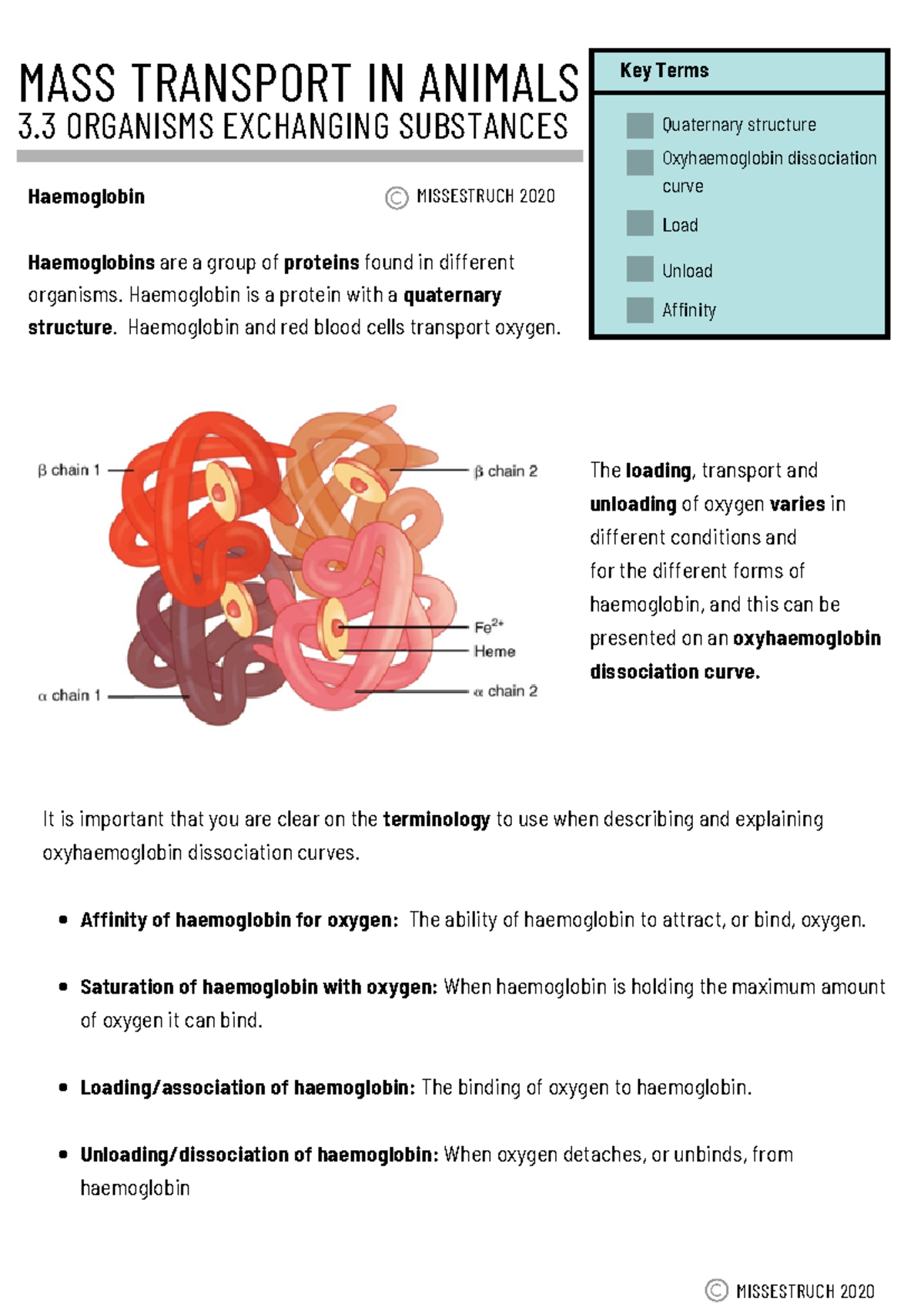 Mass transport in animals - BMS238 - Sheffield - Studocu