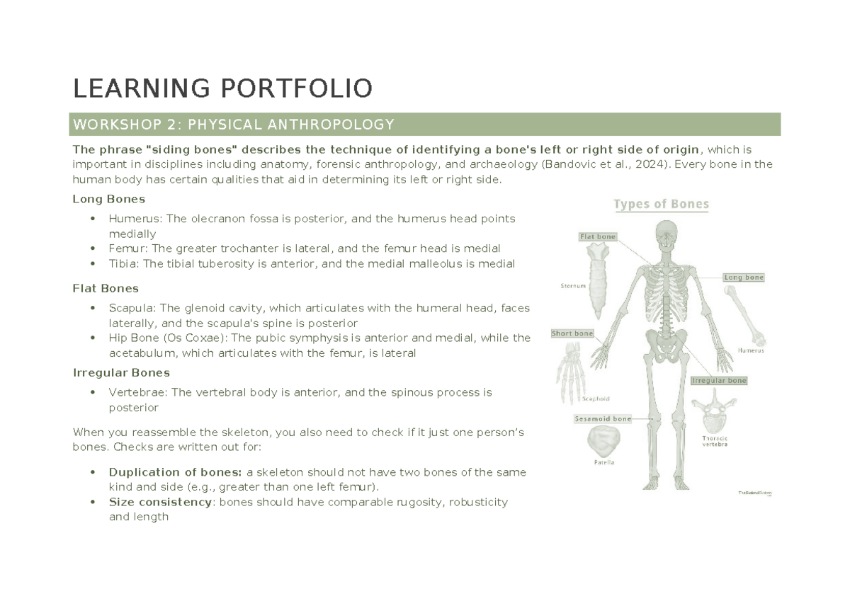 Learning Portfolio - LEARNING PORTFOLIO WORKSHOP 2: PHYSICAL ...