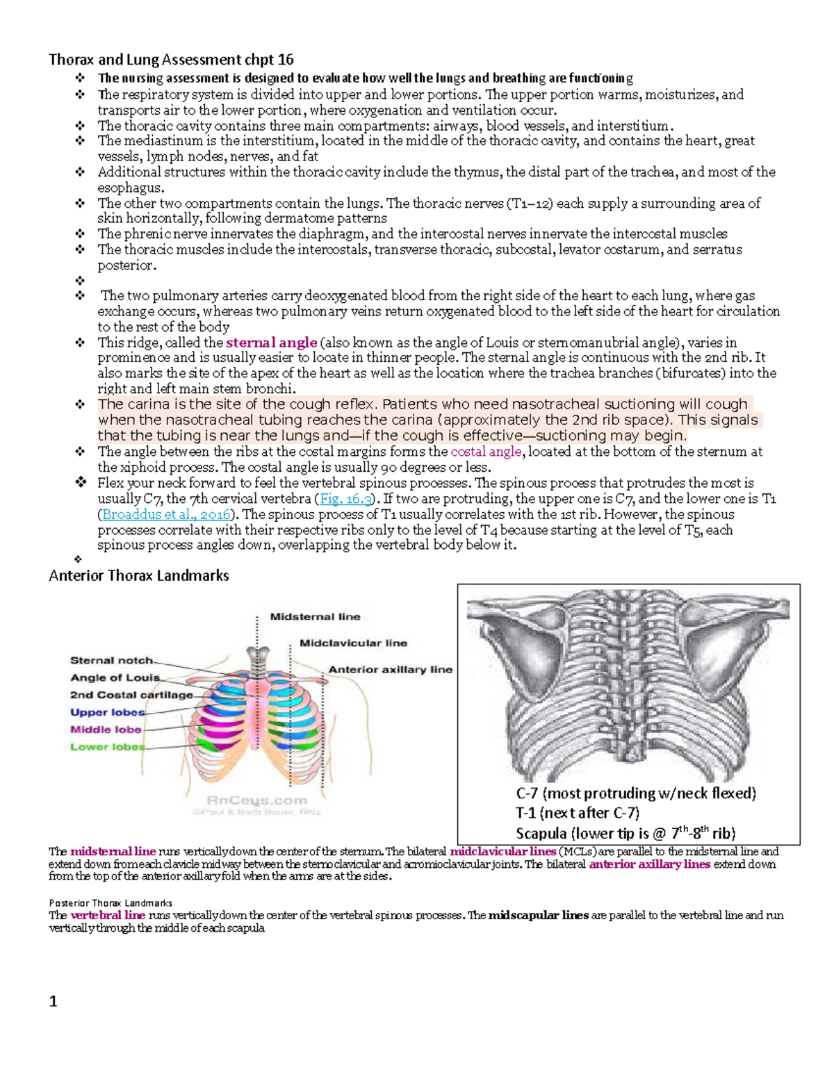 Chapter 16: Comprehensive Thorax & Lung Assessment Notes - Studocu