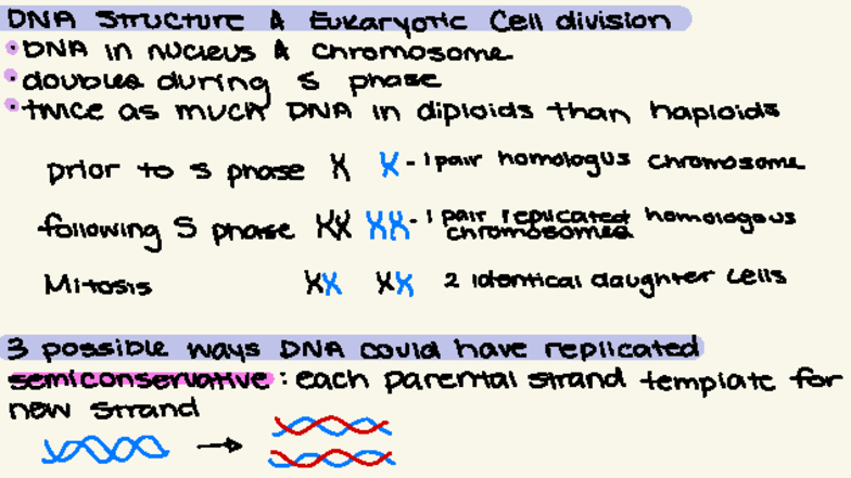 DNA Structure and Replication: Week 7 Exam Prep Notes - Studocu