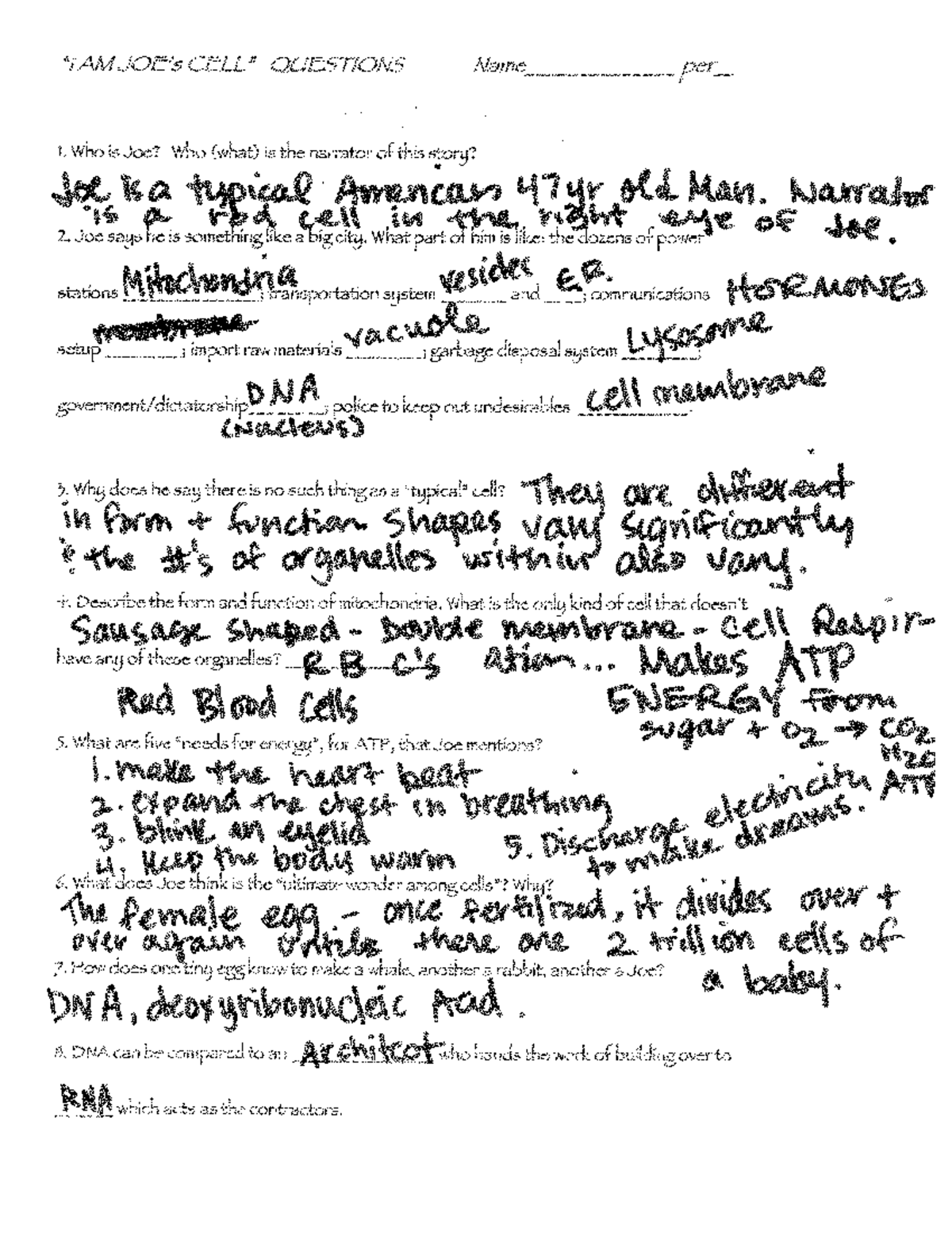 BIO 101: Final Exam - Understanding Joe's Cell Responses - Studocu