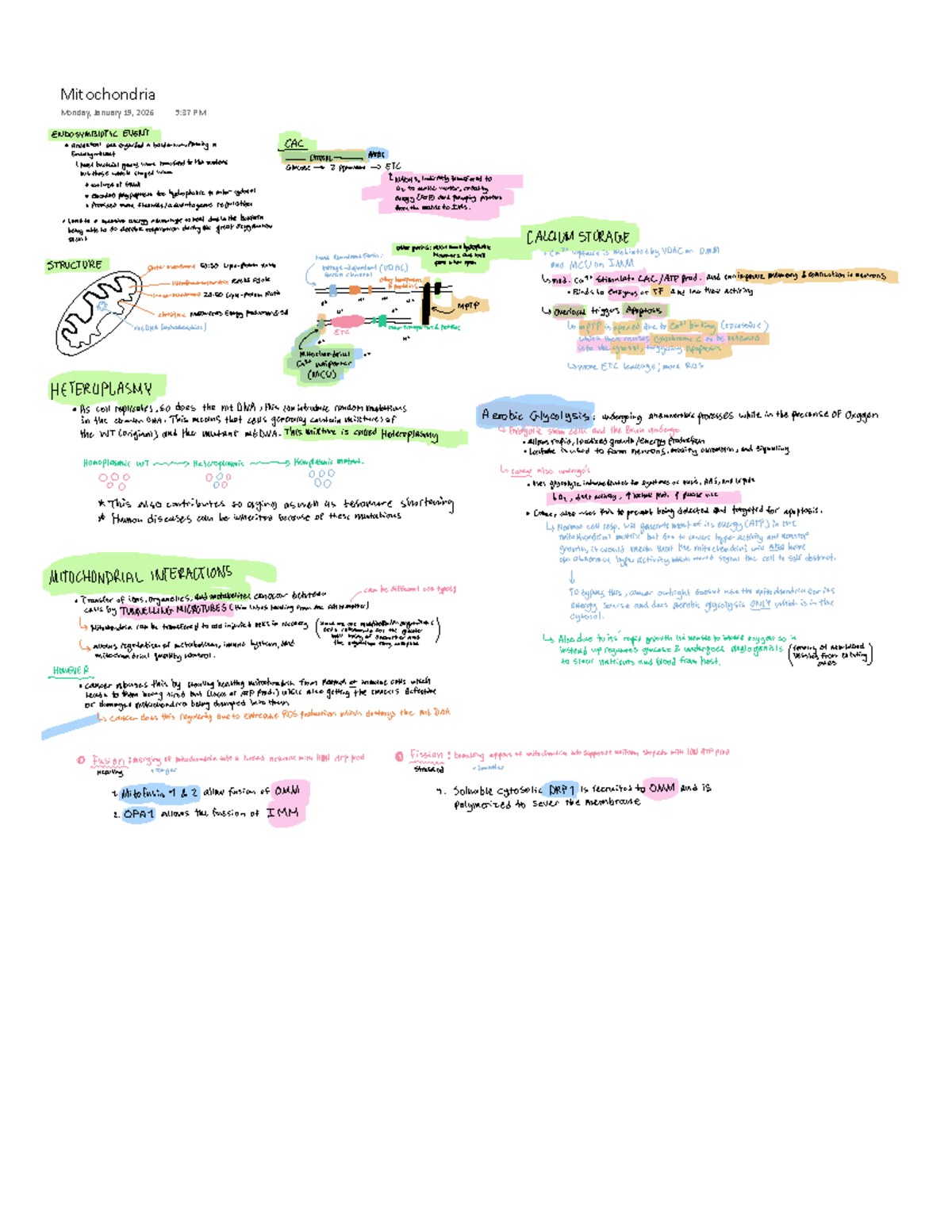 Mitochondria - Lecture Notes on Endosymbiotic Events and Functions ...