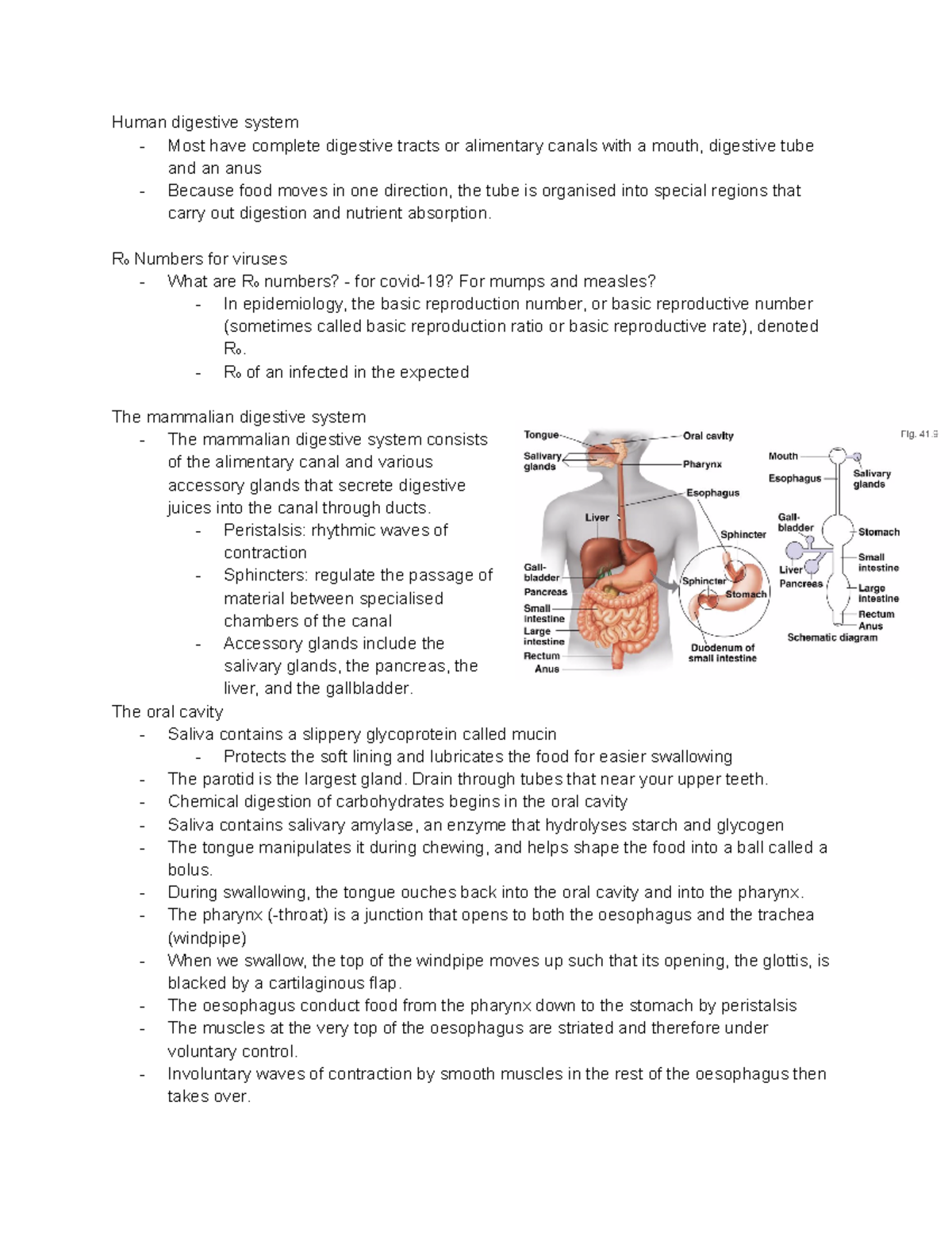 Week 2 - Digestive and Circulatory Systems in Humans and Animals - Studocu