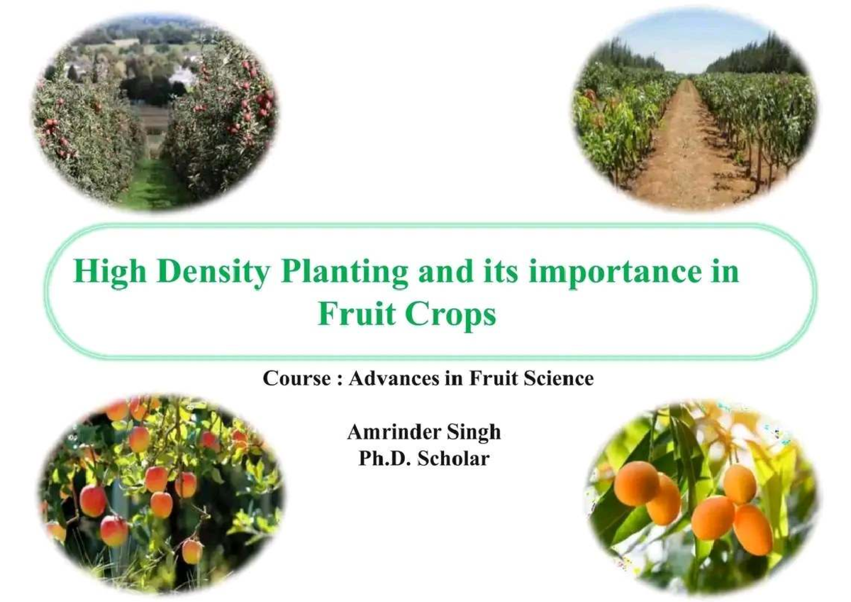 High Density Planting (HDP) in Fruit Crops: Importance & Techniques ...