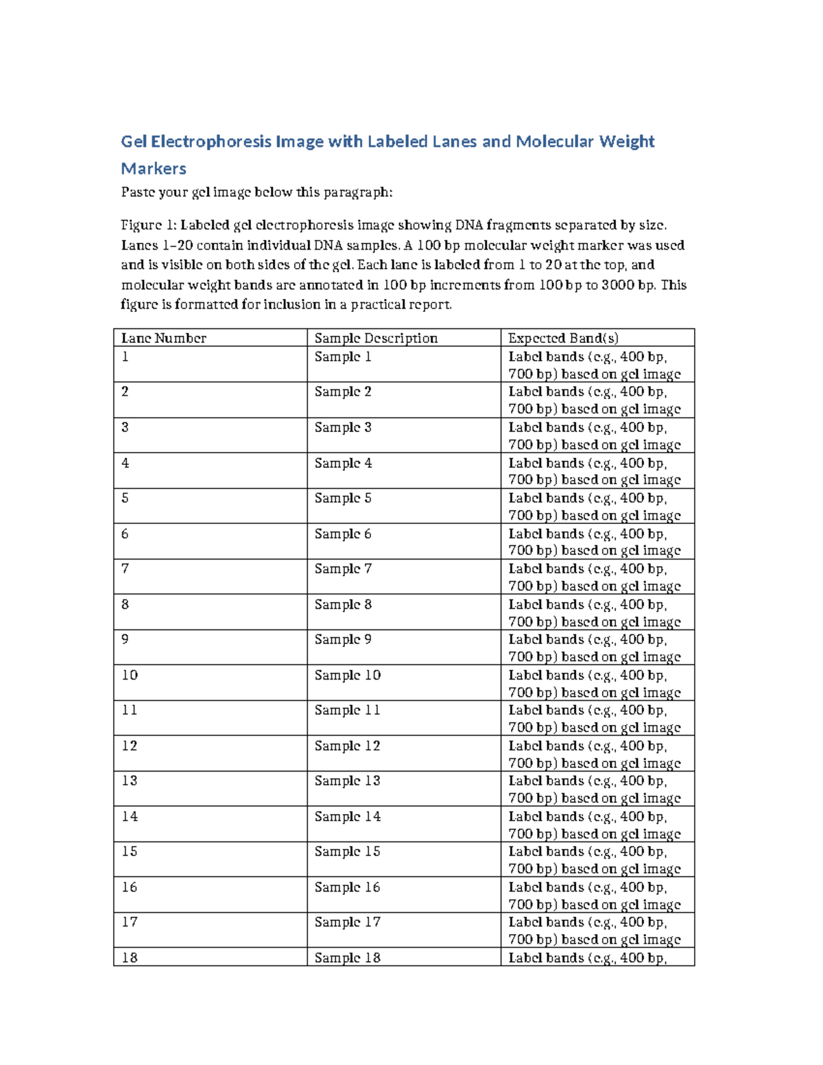 Labeled Gel Electrophoresis Report: DNA Fragment Analysis - Studocu