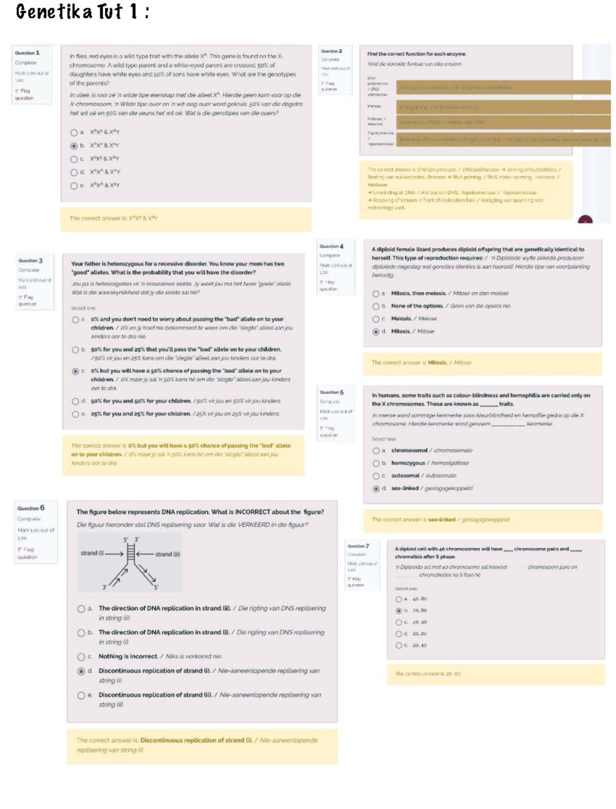 Genetika Quizzes: Understanding Inheritance Patterns and DNA Functions ...