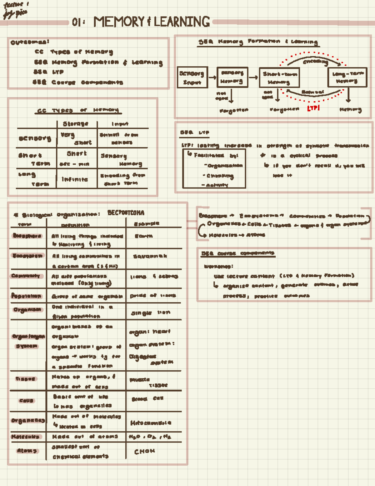Biology 101 - Lecture Notes: Key Concepts from Lectures 1-3 - Studocu