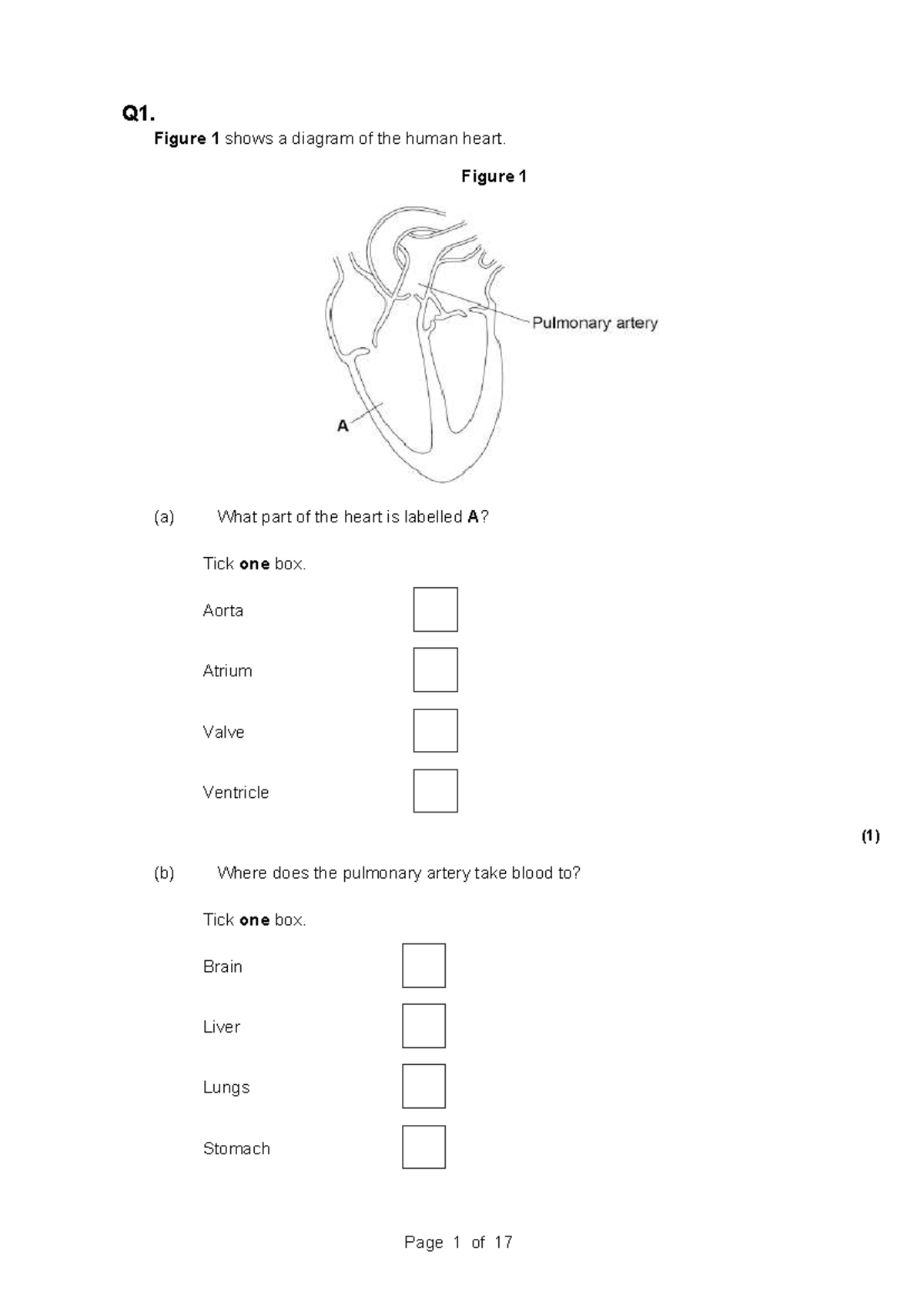 Biology 101: Heart and Circulatory System Exam Review - Studocu