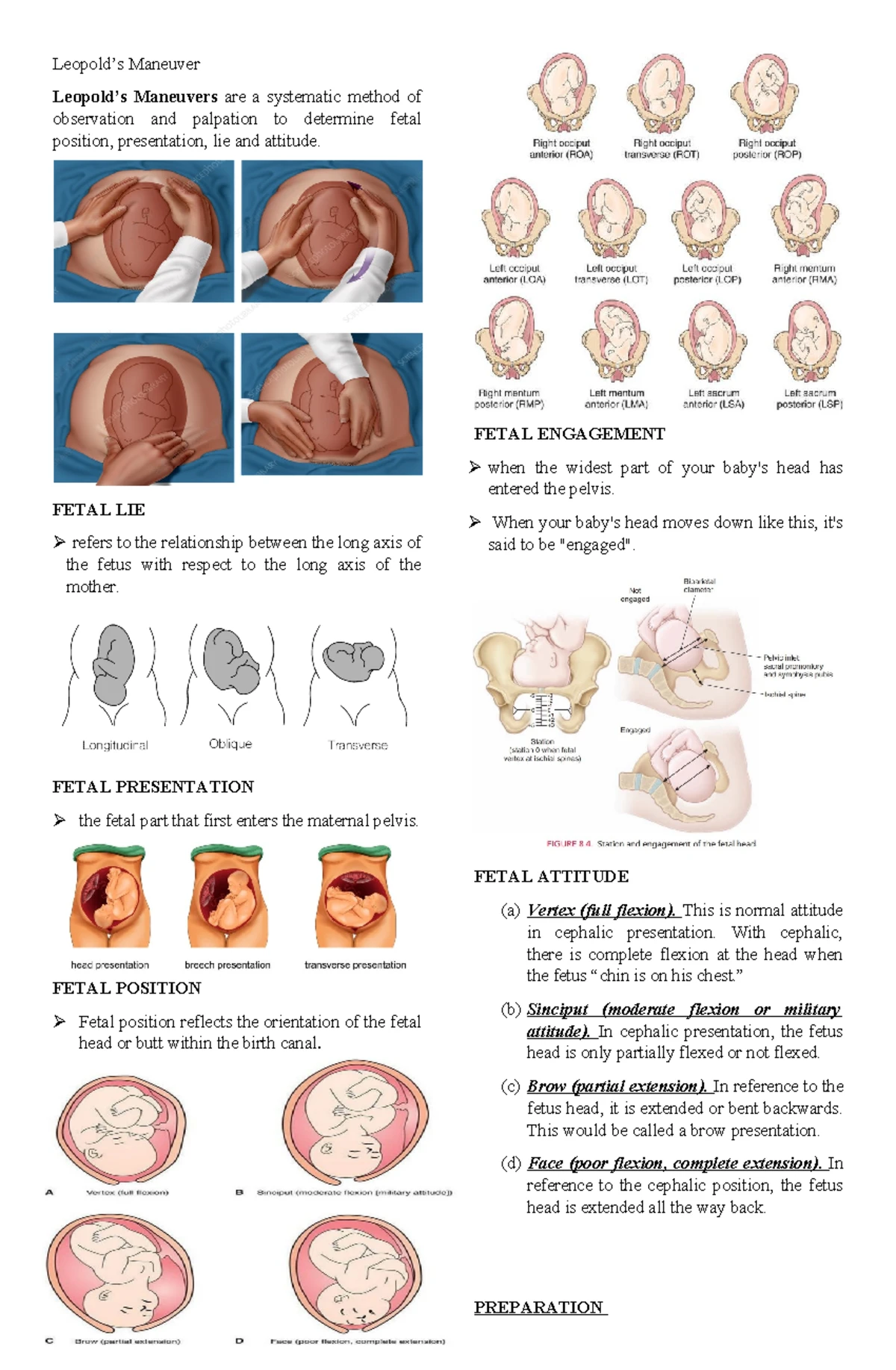 Pathophysiology - Physiology of Normal Spontaneous Delivery ...