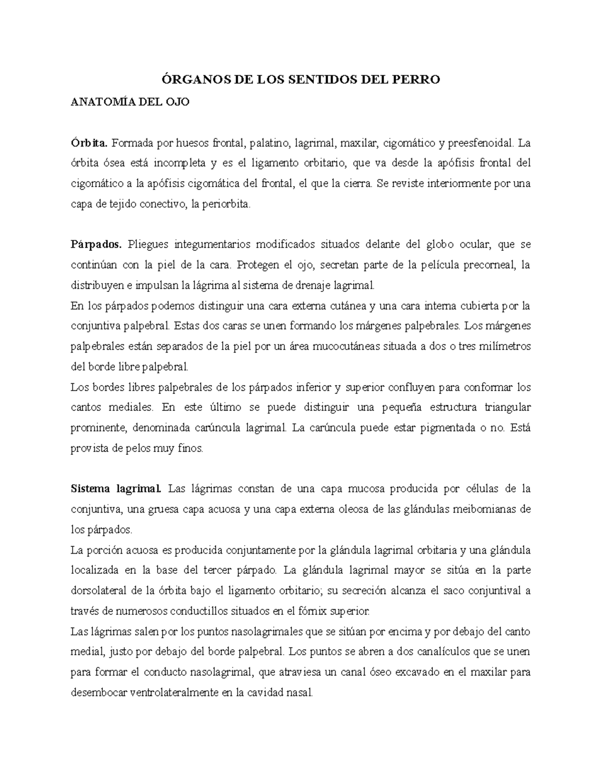 Anatomía y Función de los Órganos de los Sentidos en Perros - Studocu