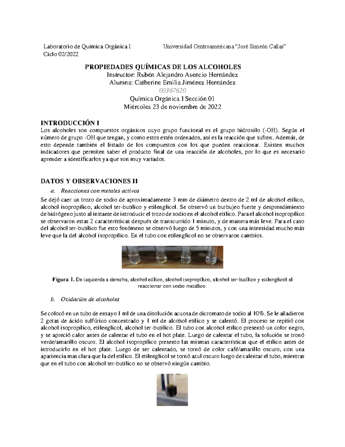 Práctica 5: Propiedades Químicas de los Alcoholes - Química Orgánica I - Studocu