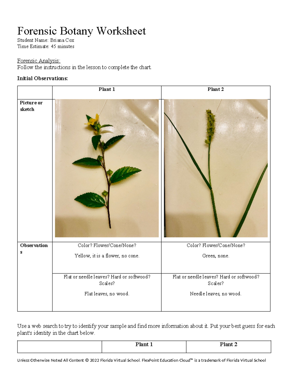 Forensic Botany Worksheet (Course Code: 02 05) - Briana Cox - Studocu