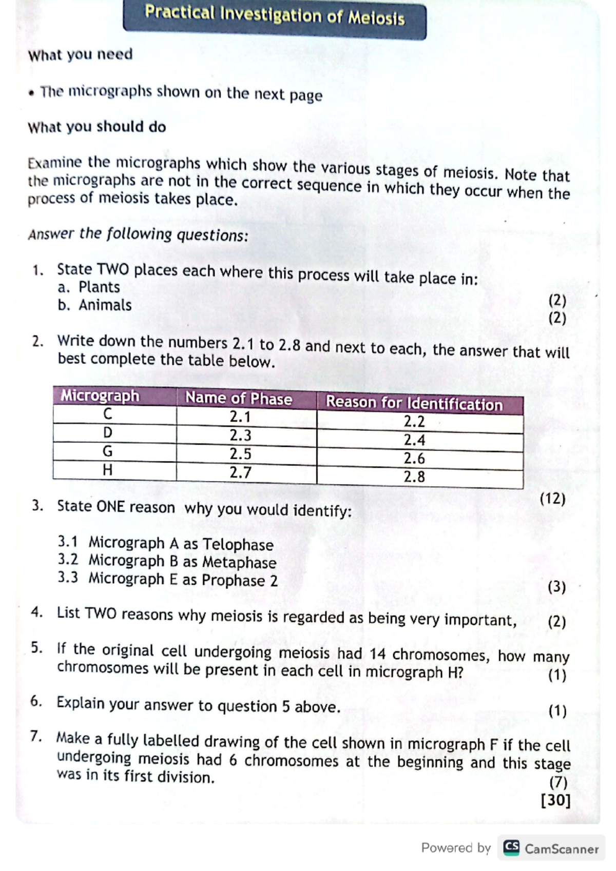 Gr12 - Meiosis Micrographs Exam Practice & Investigation Guide - Studocu
