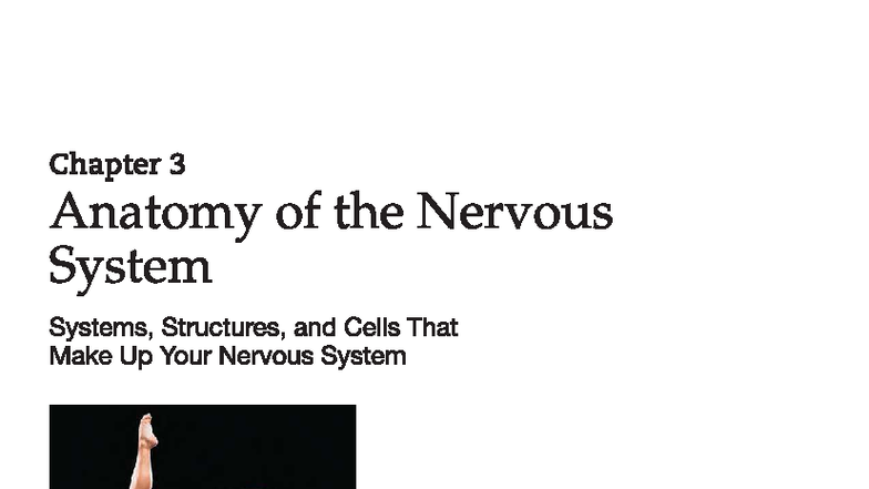 Chapter 3: Anatomy of the Nervous System (PSY 101) - Structures ...