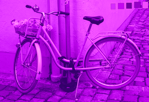 [Solved] Which of the following are principles of design Select all ...