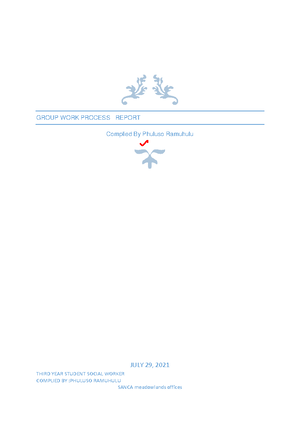 [Solved] What does Weyers Community Work Process Model Step 3 task 1 ...