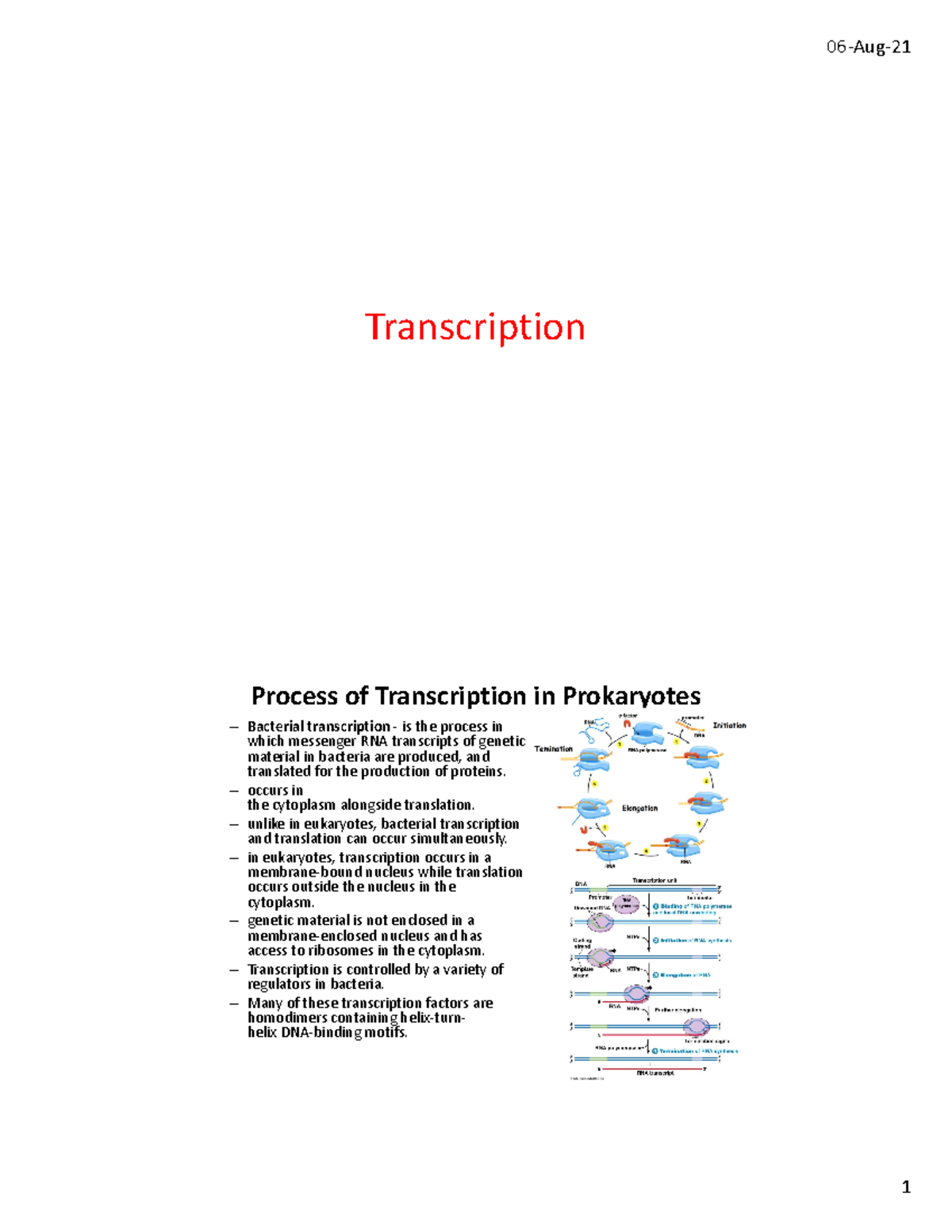 Lecture Notes on Transcription in Prokaryotes (BIOL 101) - Studocu