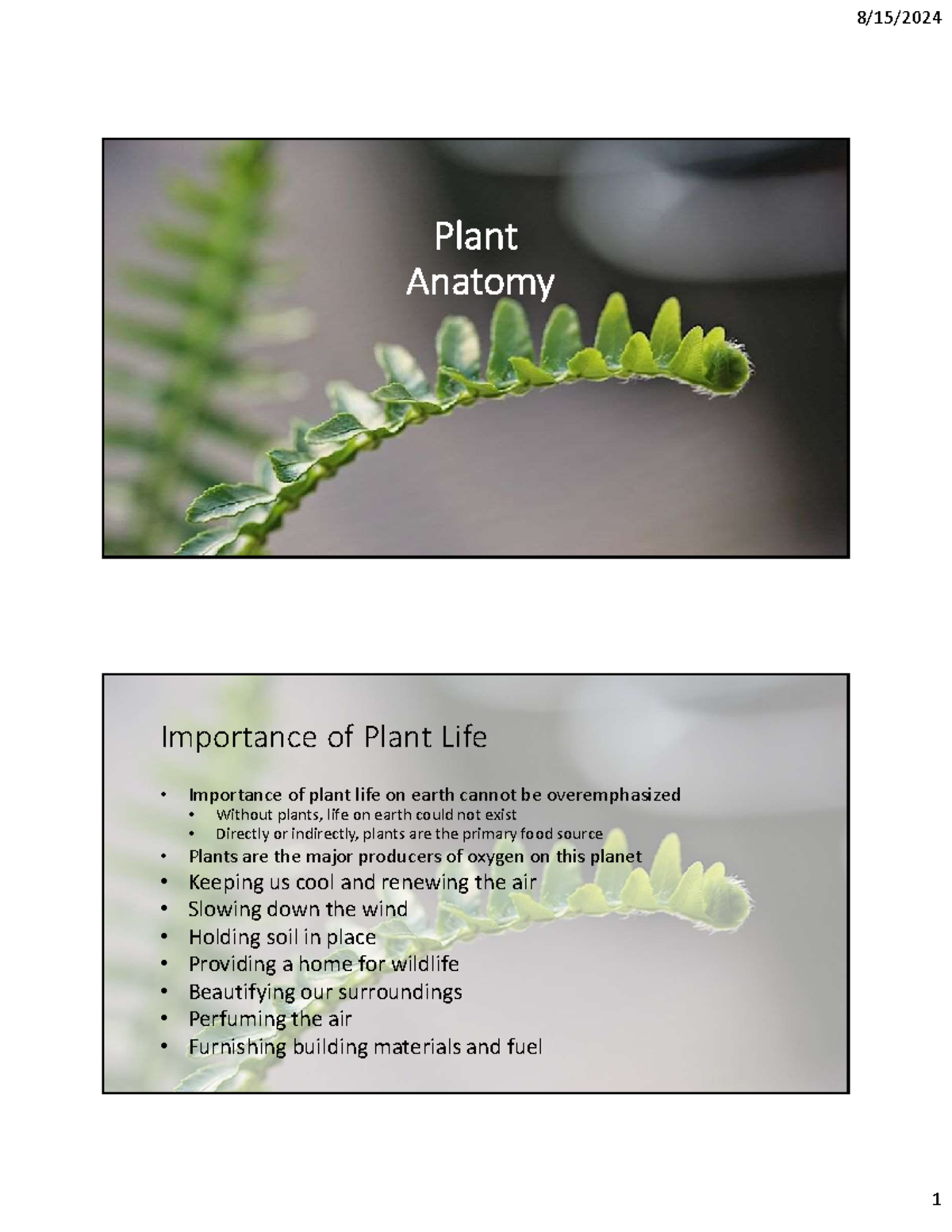 Unit 3: Plant Anatomy Overview and Functions in Botany - Studocu