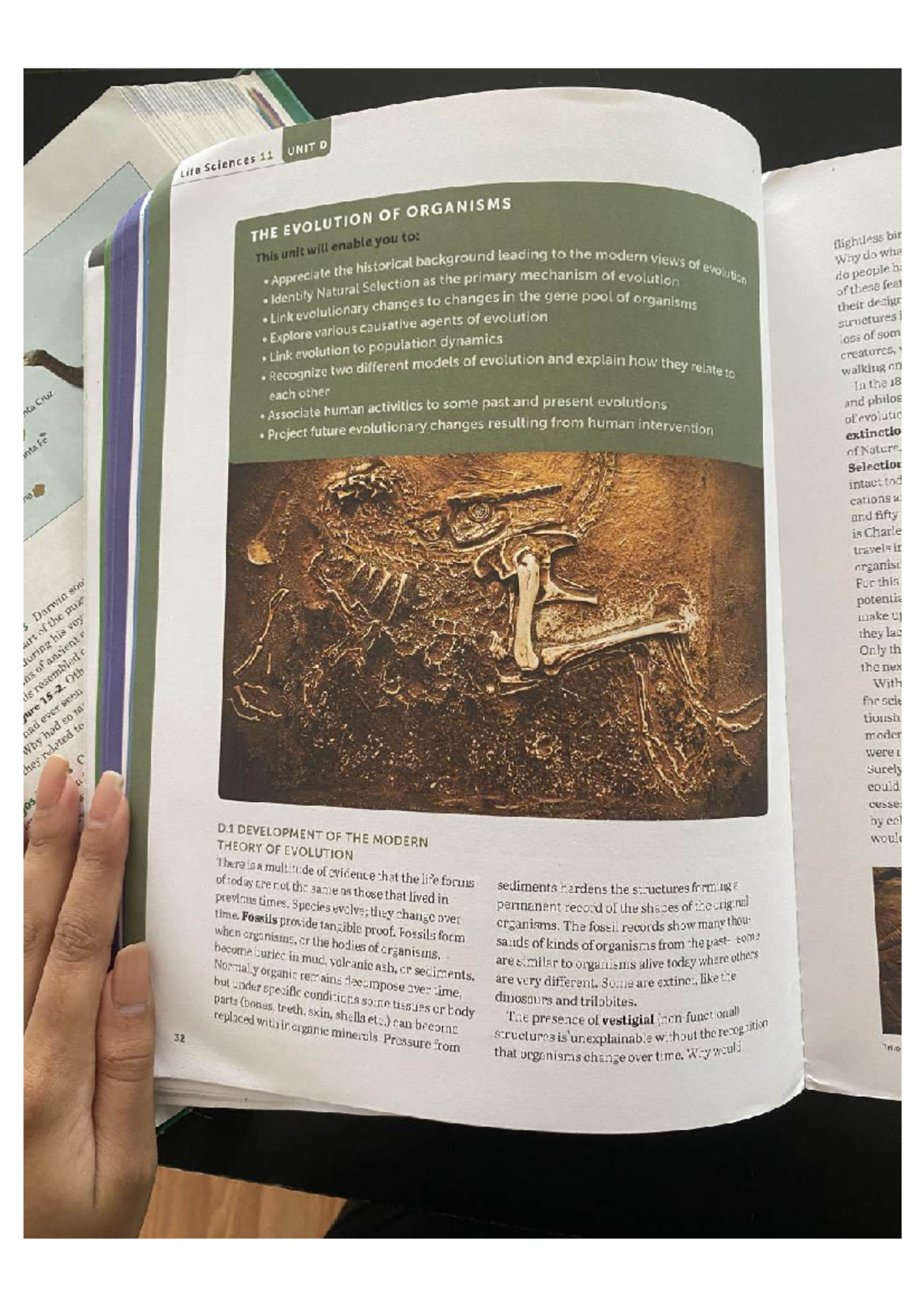 Life Sciences 11 Unit D: The Evolution of Organisms - Study Guide - Studocu