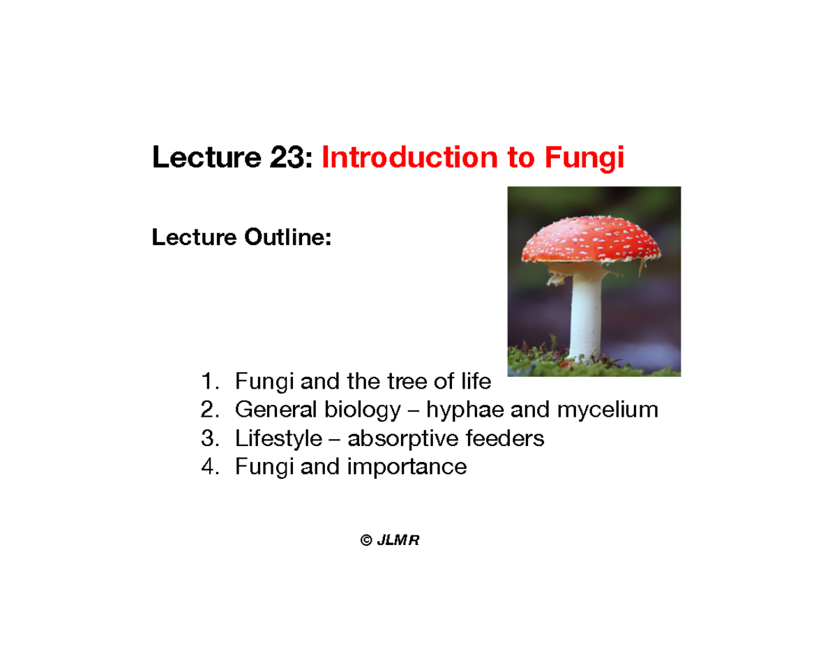 Lecture 23: Introduction to Fungi - Biology, Importance & Ecology ...