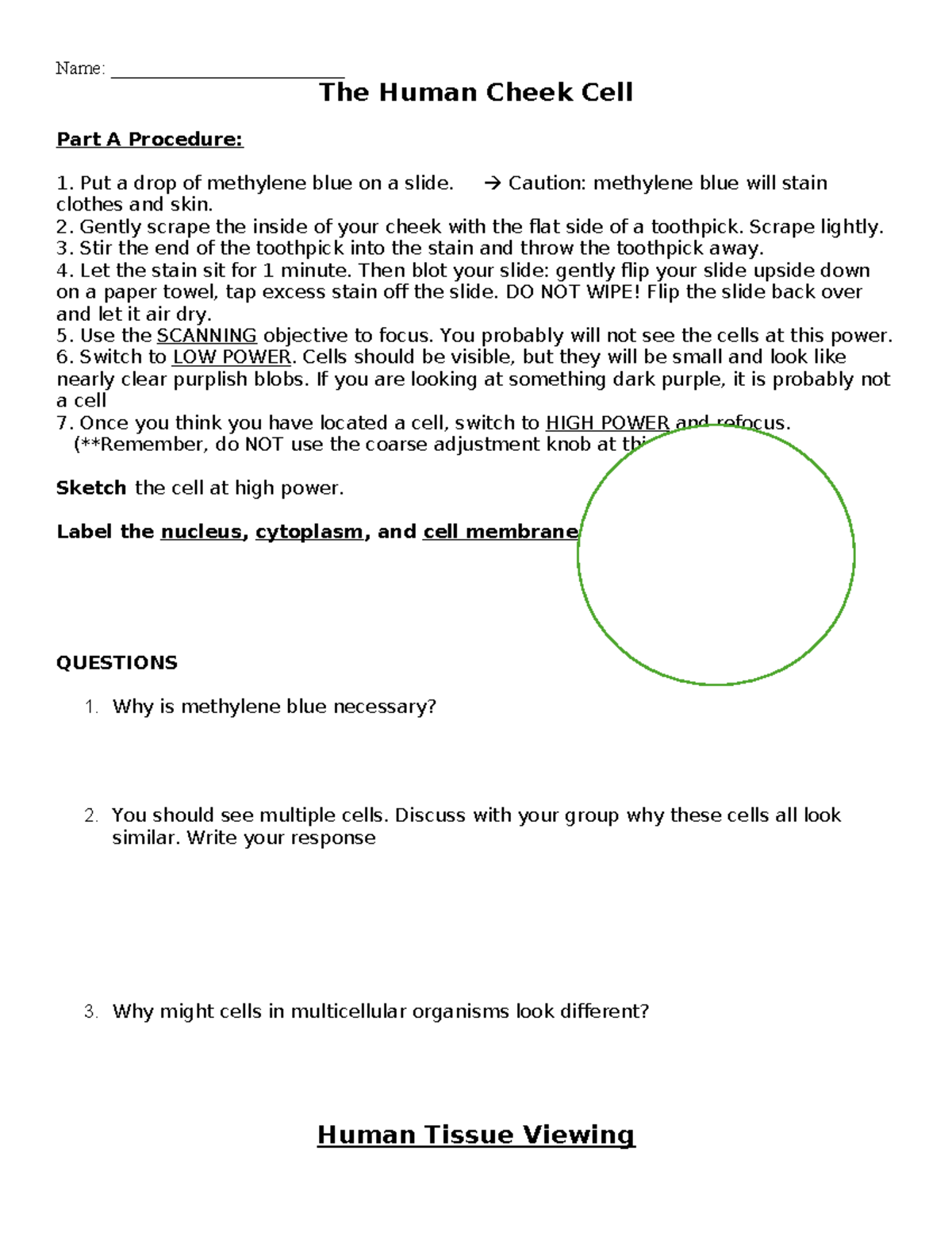 Cheek Cell & Tissue Lab Procedures and Observations (Biology Lab) - Studocu