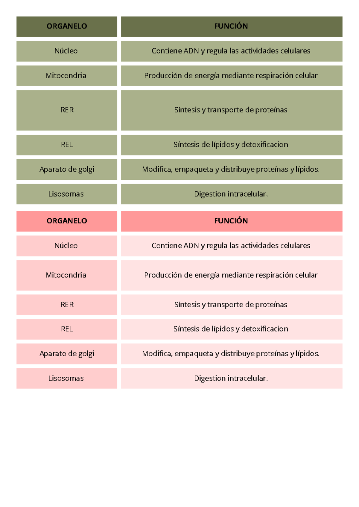 Organelo - Organelles celulares - ORGANELO FUNCIÓN Núcleo Contiene ADN ...