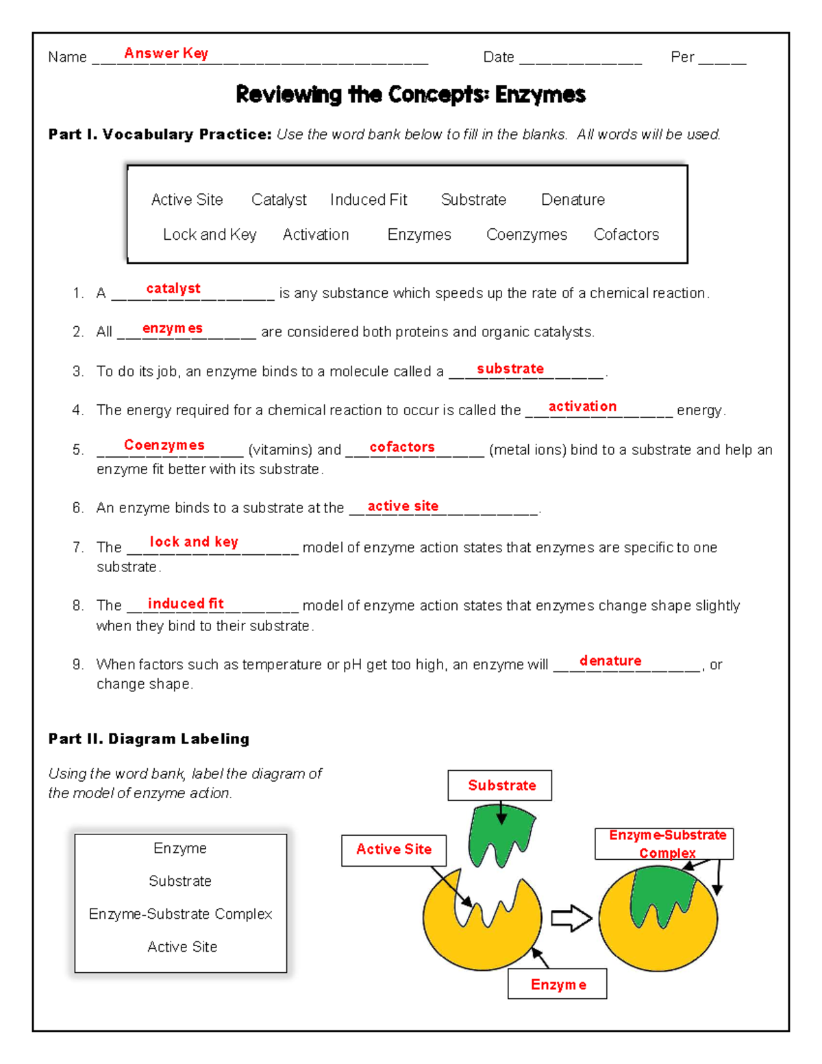 Enzyme Worksheet Answers: Concepts & Vocabulary Practice - Studocu