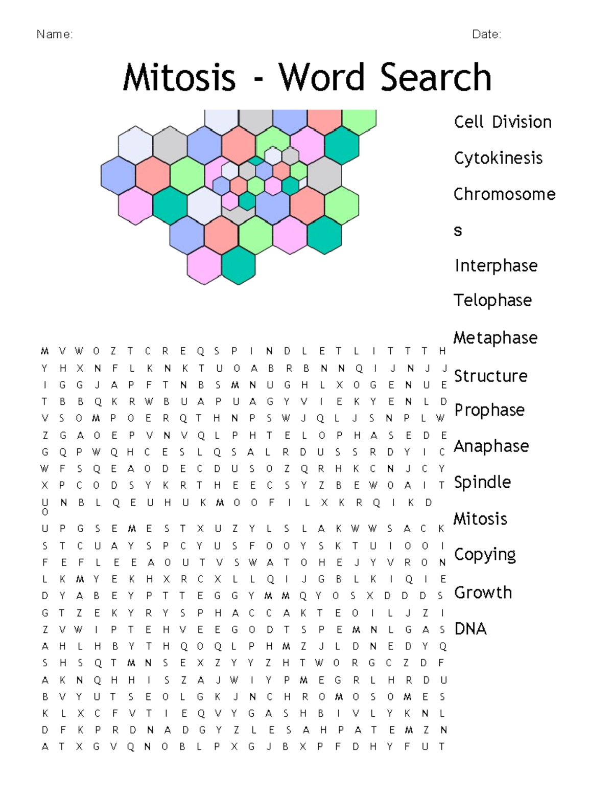 Mitosis Word Search Activity 2D5E 62FD4CBA - Studocu
