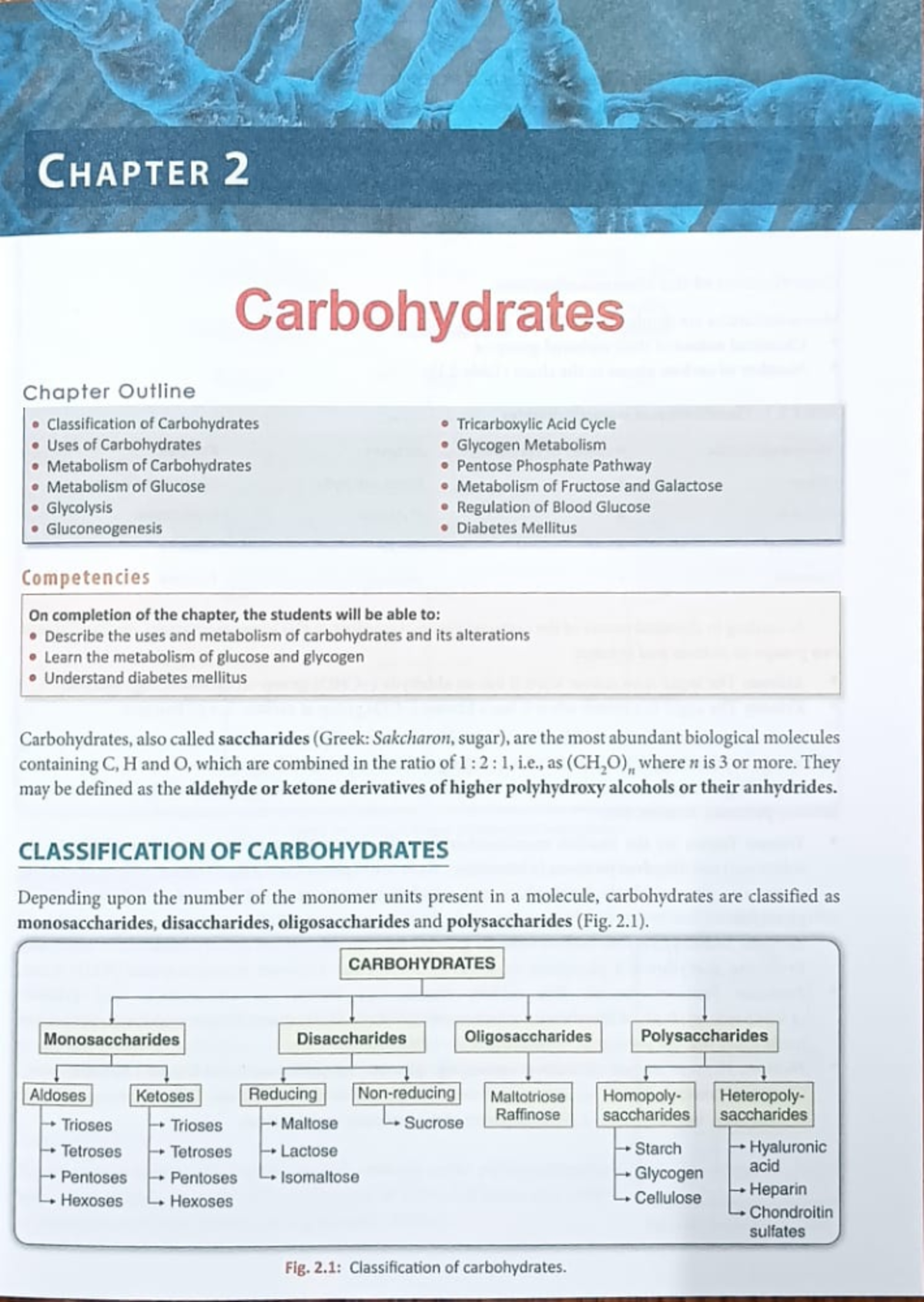 Biochemistry of Carbohydrates: Detailed Insights and Metabolic Pathways ...