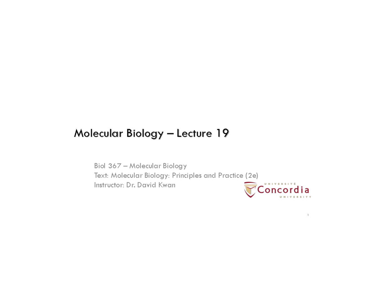 Lecture 19 - Molecular Biology ² Lecture 19 Biol 367 ² Molecular ...