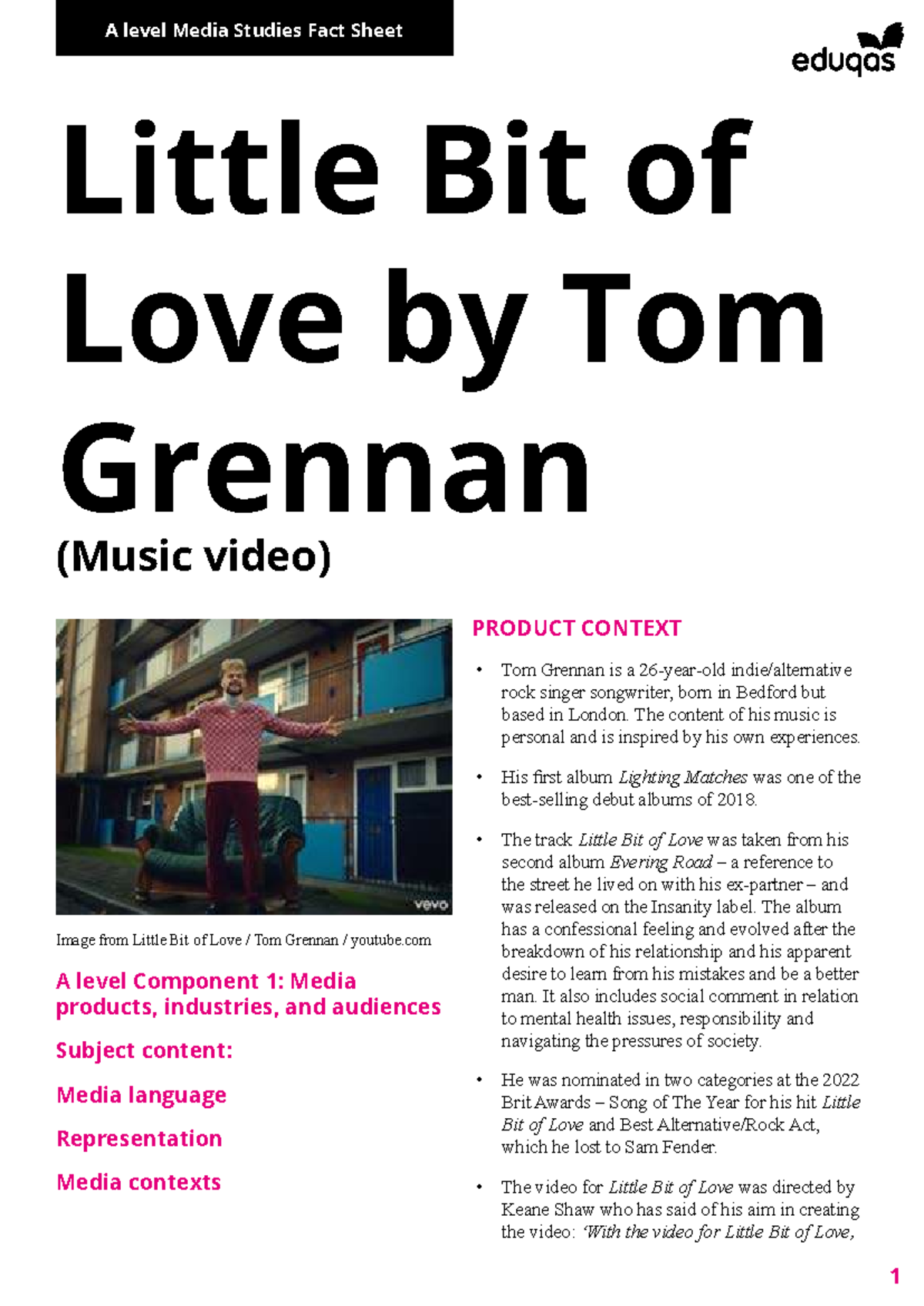 A Level Media Studies Fact Sheet: Tom Grennan's "Little Bit of Love ...