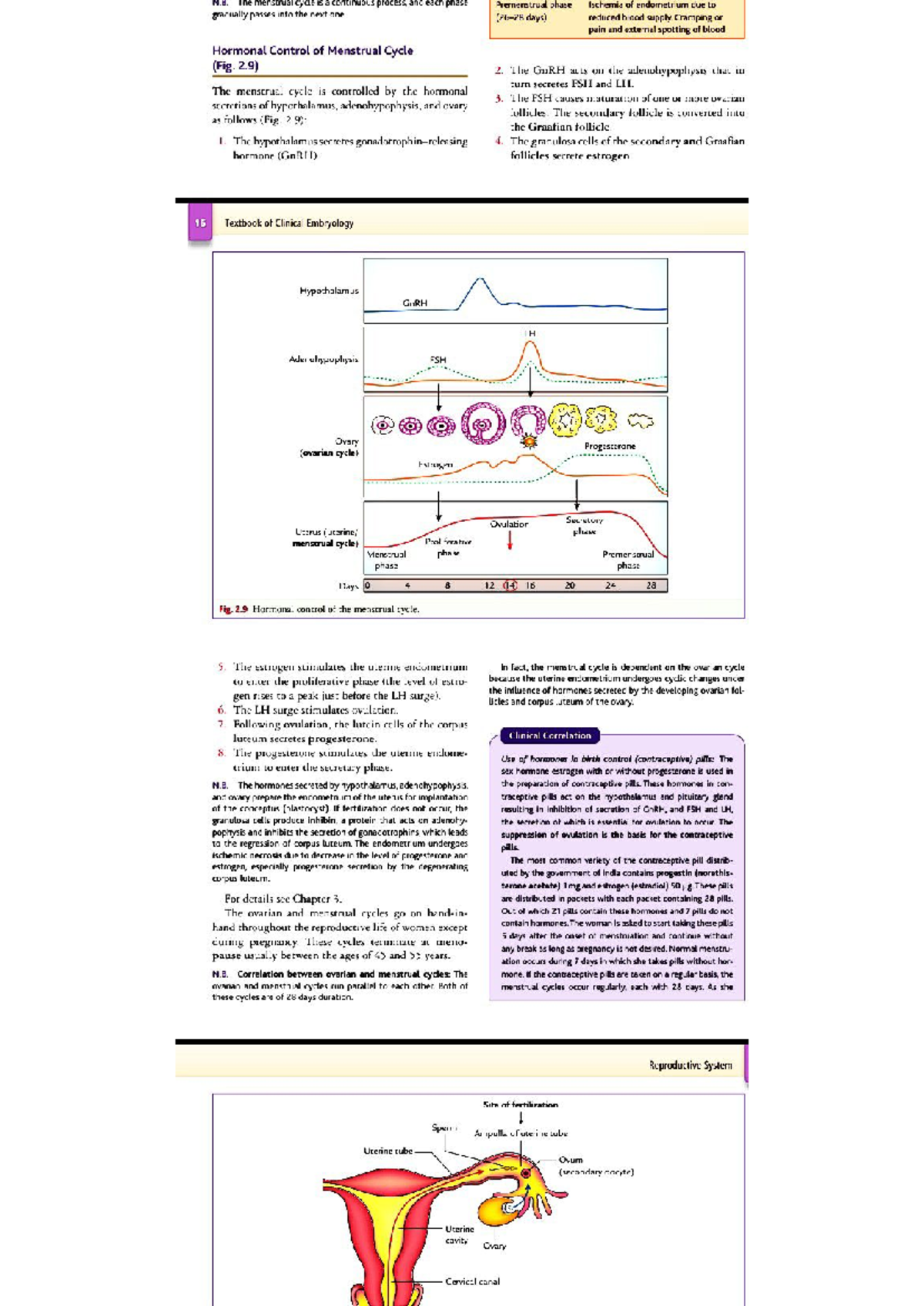 Hormonal Control of Menstrual Cycle - Clinical Embryology - Studocu