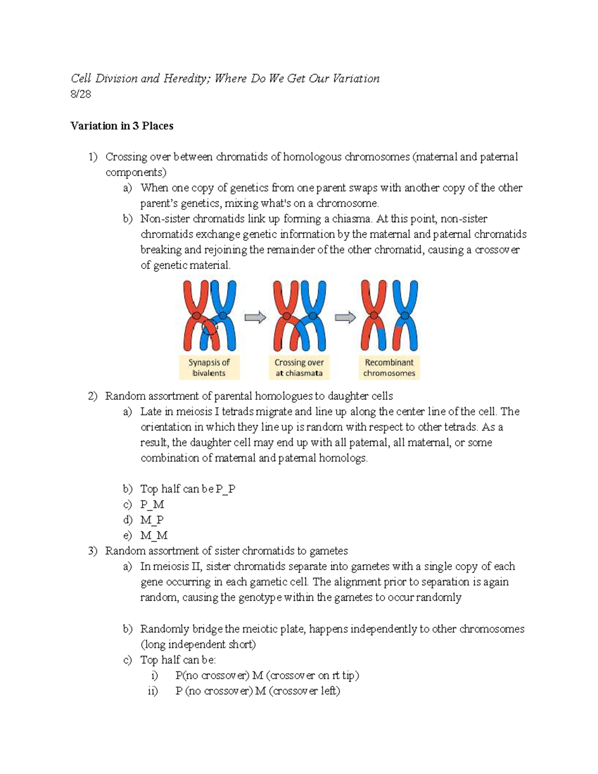 Bio 114 Week 2: Cell Division & Genetic Variation Insights - Studocu