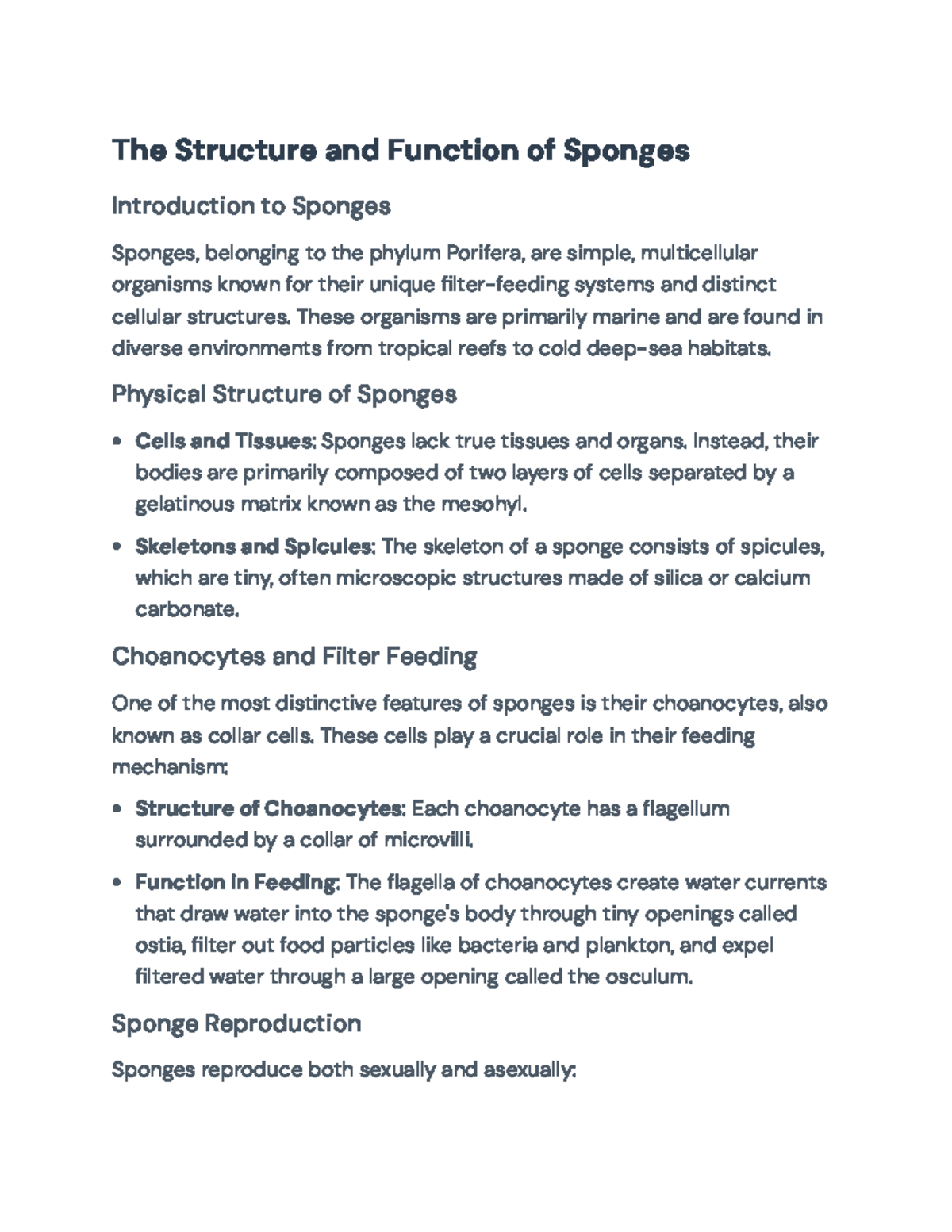 The Structure and Function of Sponges: An In-Depth Study - The ...