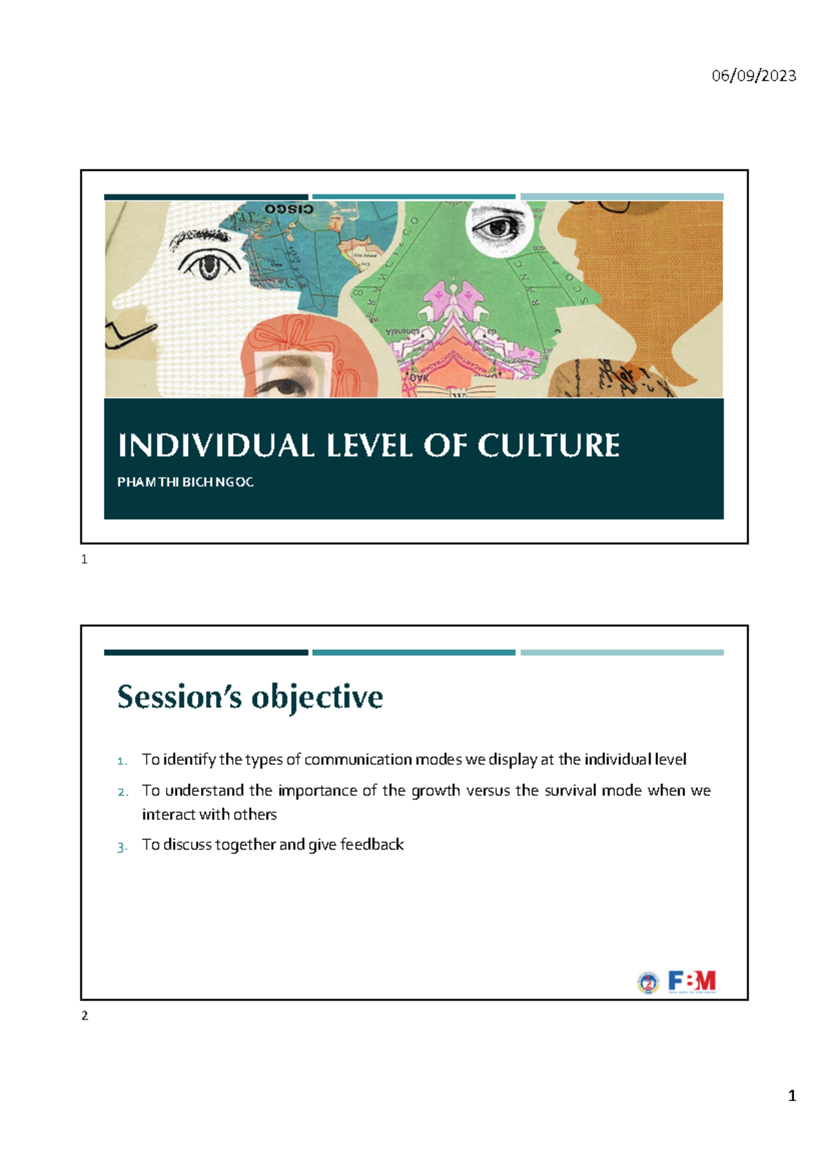 C3-individual Level OF Culture - INDIVIDUAL LEVEL OF CULTURE PHAM THI ...