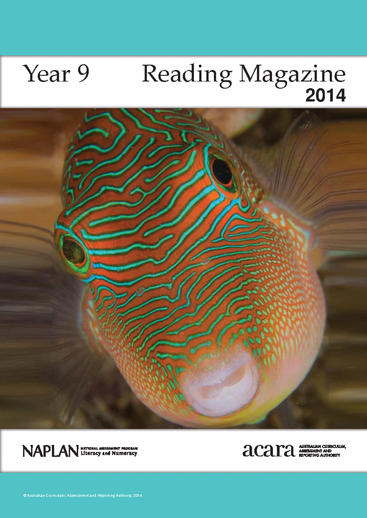 NESA Key Terms: Definitions, Analysis, and Application Guide - Studocu