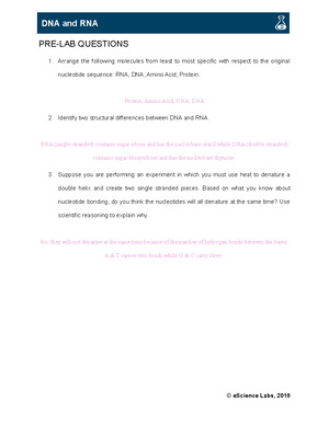 EXPERIMENT 1: FERMENTATION BY YEAST - Title EXPERIMENT 1: FERMENTATION ...