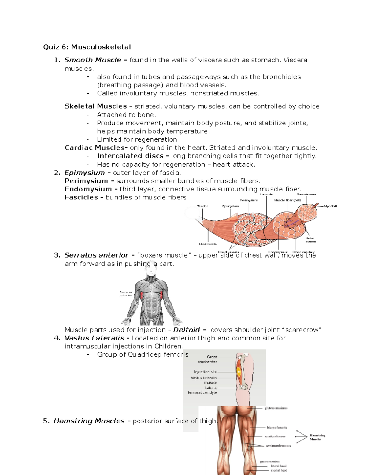 Quiz 6. musculoskeletal - Quiz 6: Musculoskeletal 1. Smooth Muscle ...
