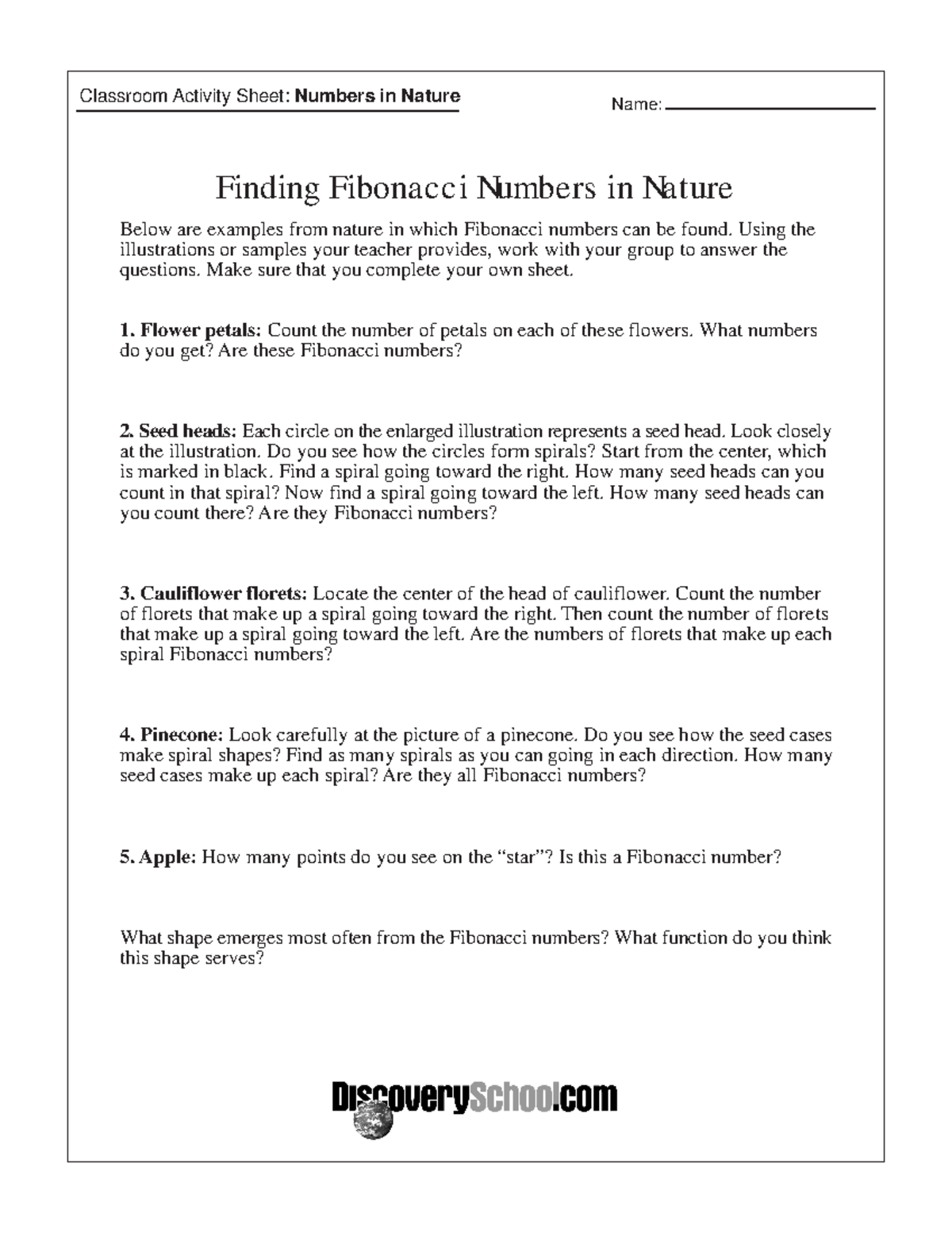 Fibonacci Numbers in Nature: Classroom Activity Sheet - Studocu