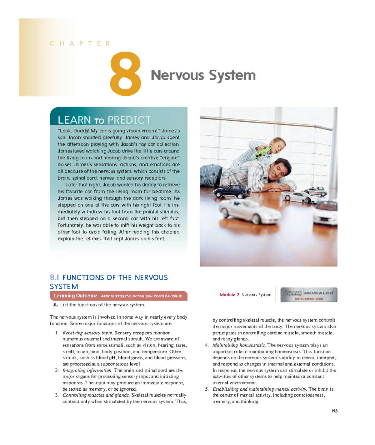 Nervous System Overview: Functions, Divisions, and Reflexes (Module 2 ...