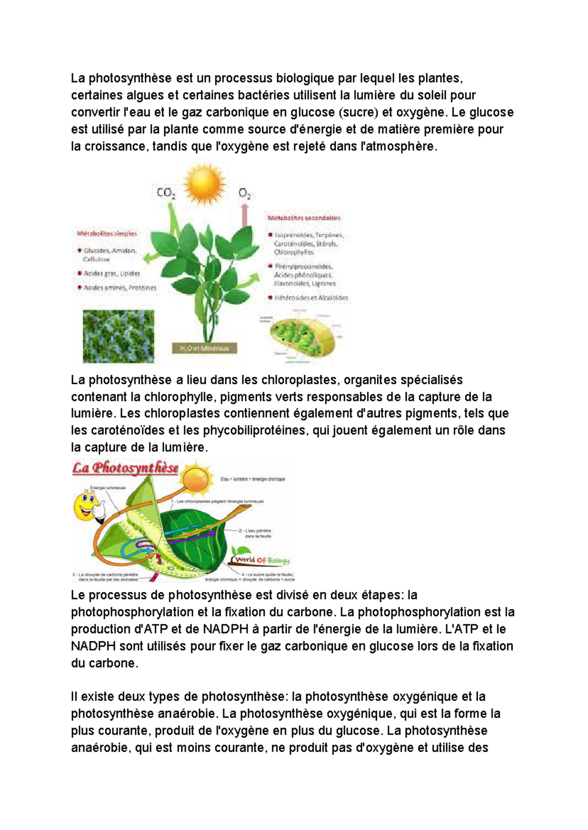 La photosynthèse - La photosynthèse est un processus biologique par ...