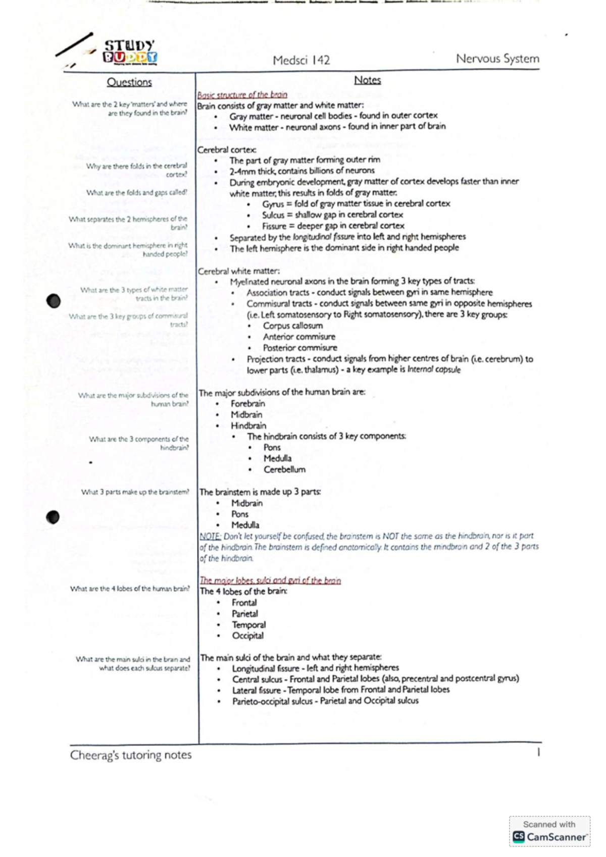 Medsci 142 Nervous System Study Notes: Brain Structure & Function - Studocu