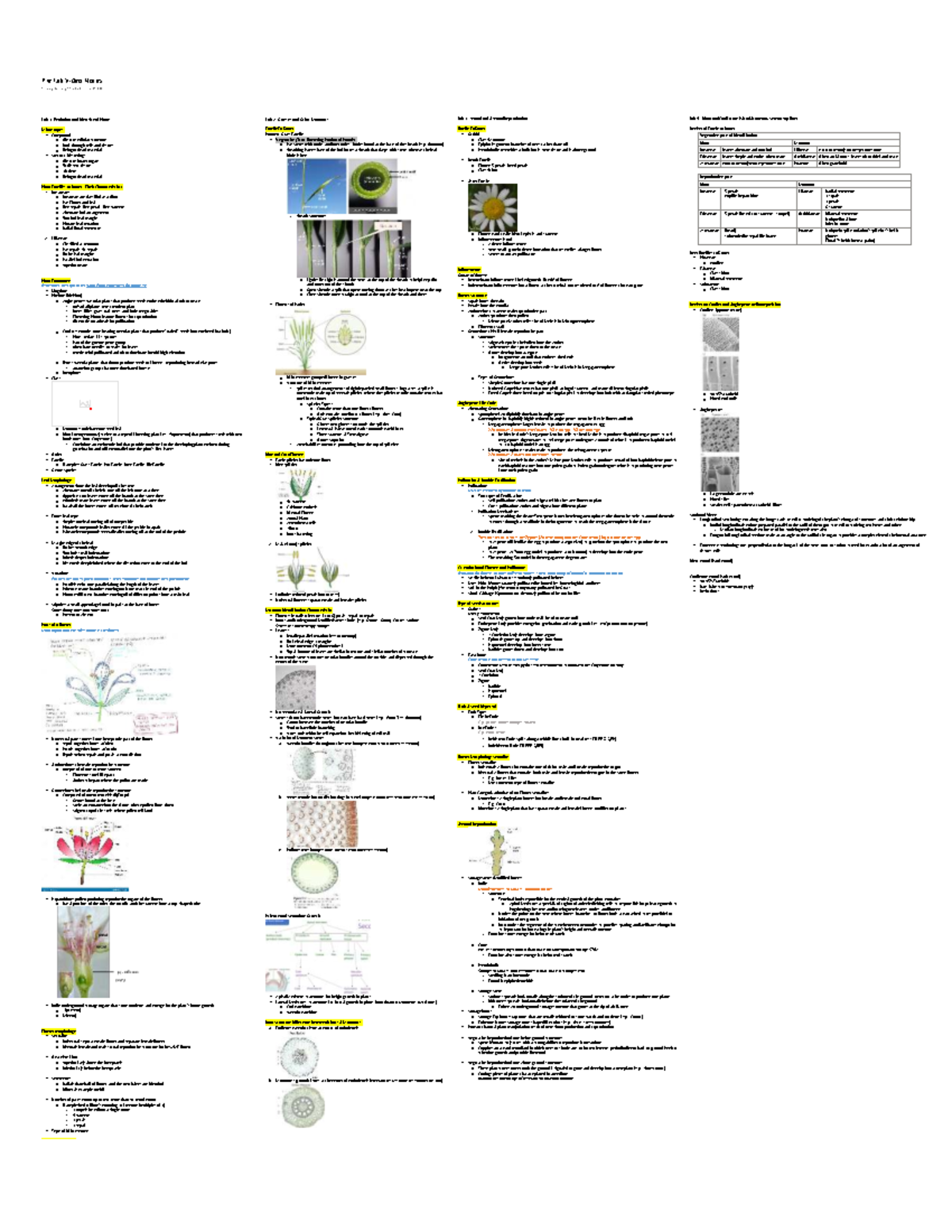 Pre-lab Video Notes: Plant Evolution & Diversity (Lab 1-4) - Studocu
