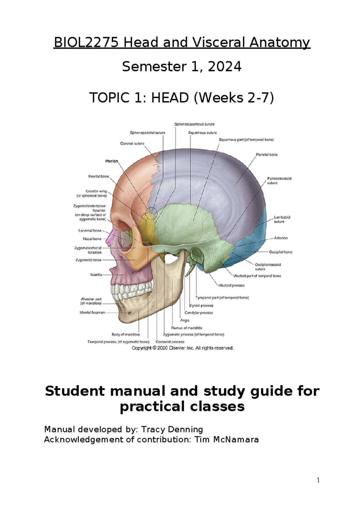 BIOL2275 Practical Class Manual: Head Anatomy Guide 2024 - Studocu